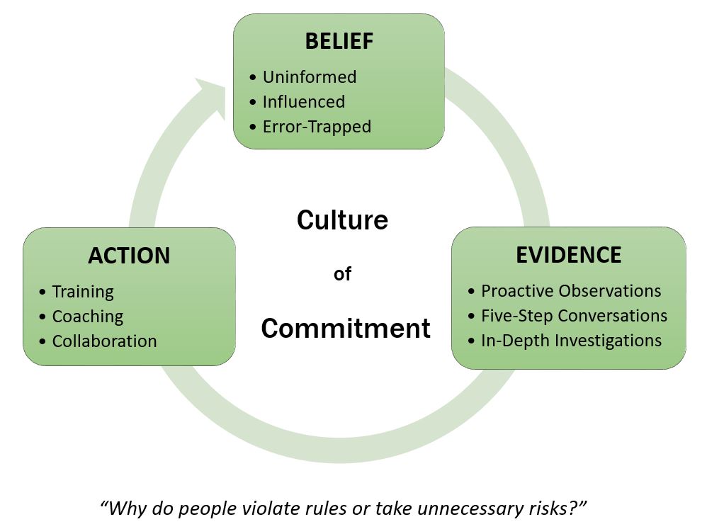 How confirmation bias contributes to a culture of compliance ...